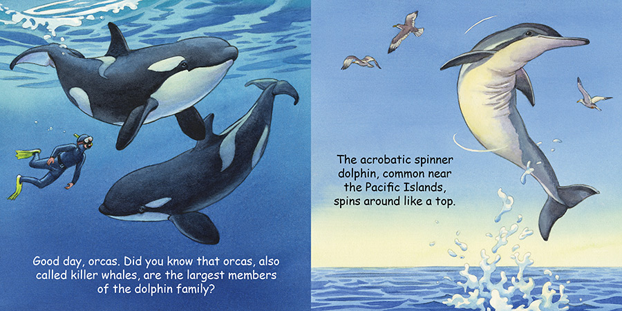 Good Night Dolphins | Good Night Books