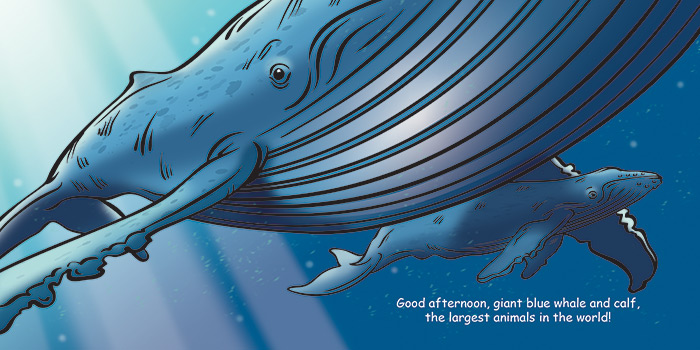 Good Night Whales | Good Night Books
